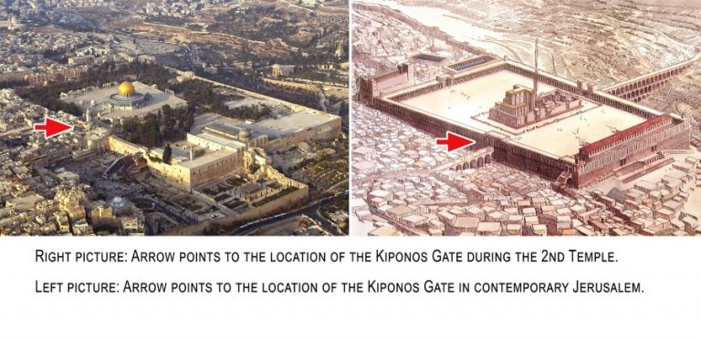 The Temple Mount - Temple Institute