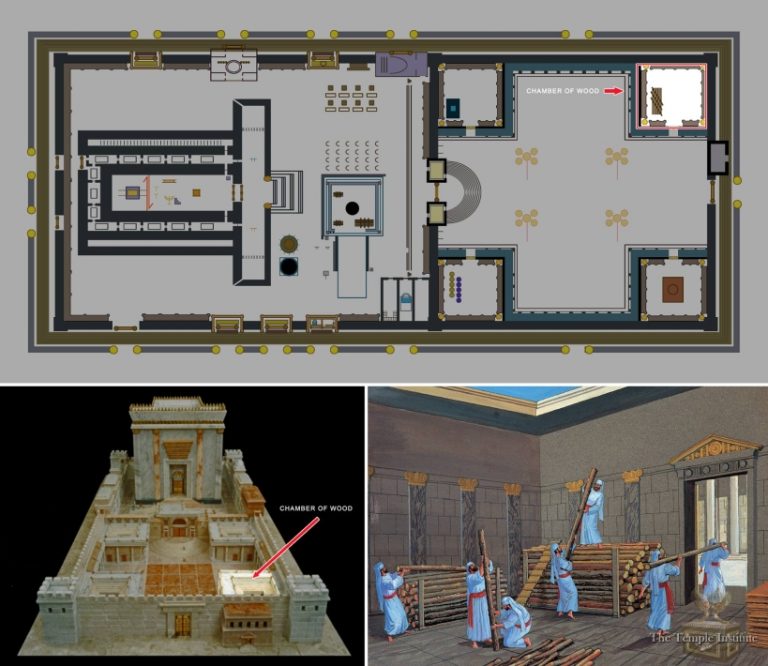 The Inner Courts - Temple Institute