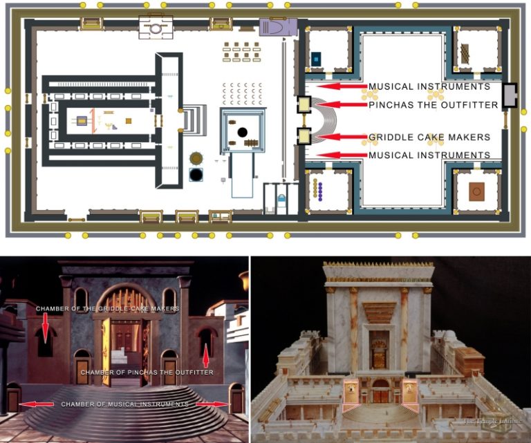 The Women's Court - Temple Institute