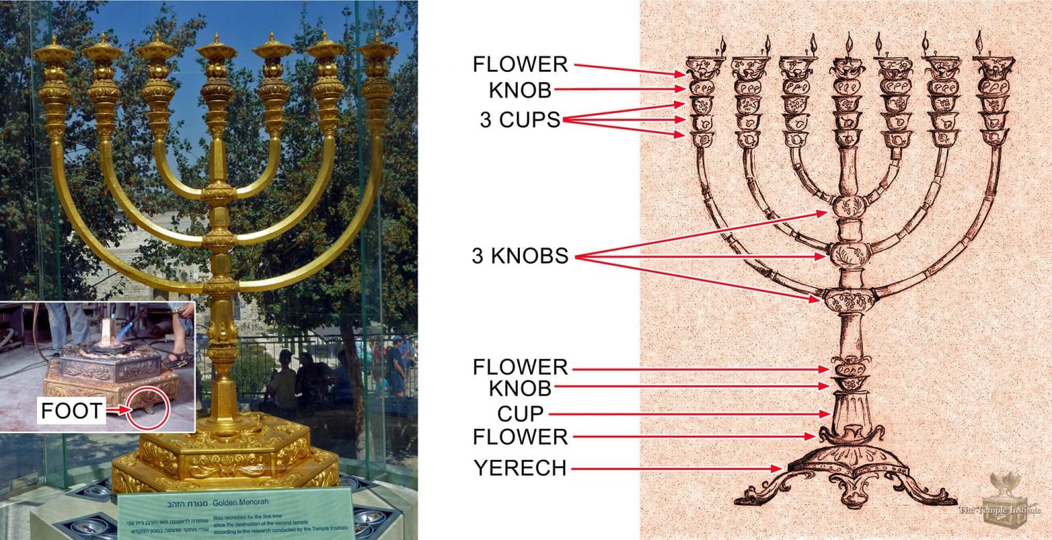 The Vessels - Temple Institute