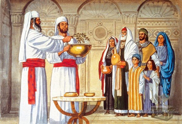 Red Heifer The Ceremony - Temple Institute