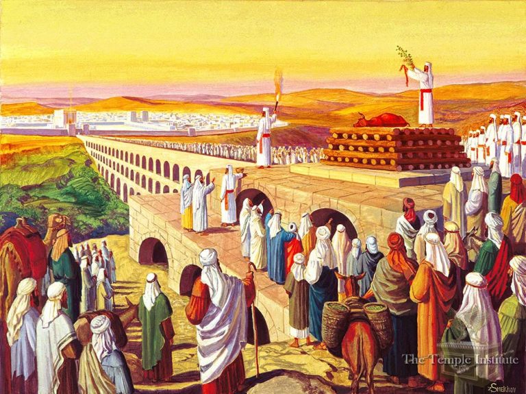 Red Heifer The Ceremony - Temple Institute