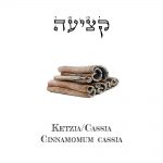 Temple Incense, Part 2 - Temple Institute