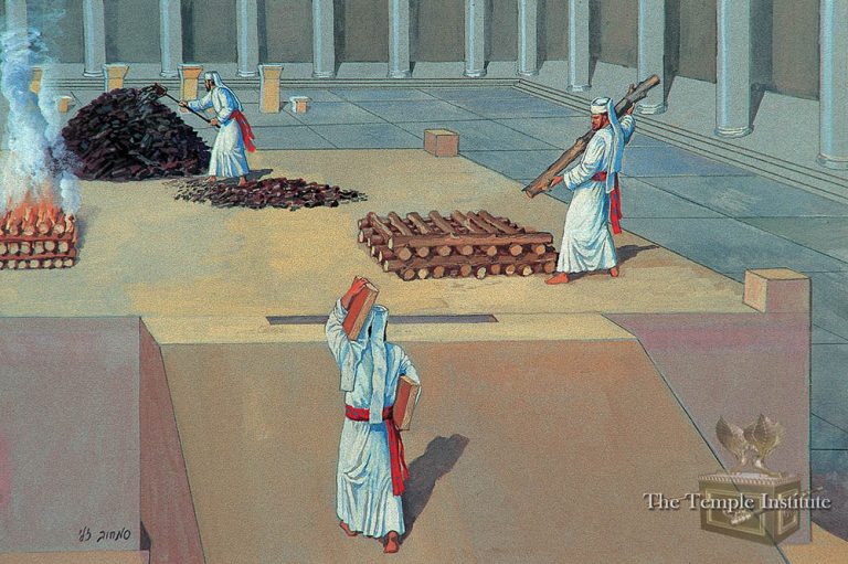 A Day In The Holy Temple - Part 4 - Temple Institute