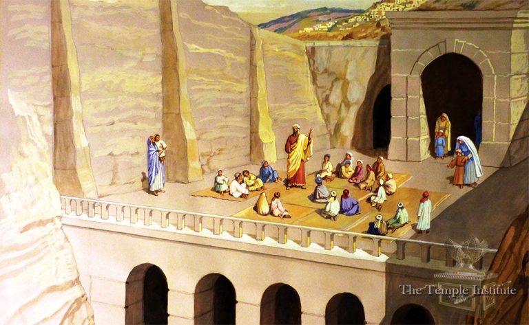 Para Aduma - the Red Heifer - Temple Institute