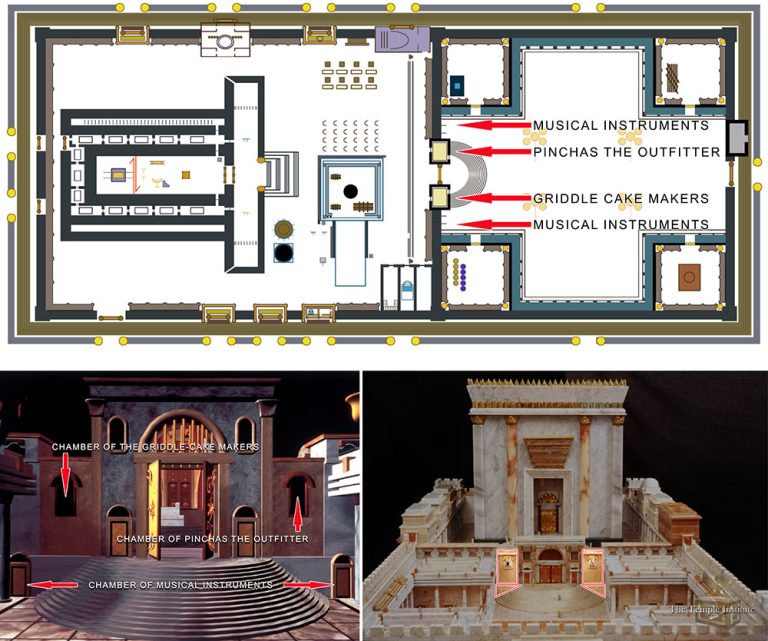 The Women's Court - Temple Institute