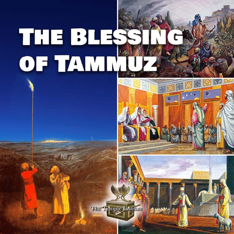 The Temple Institute of Jerusalem - Learn About the Temple Institute